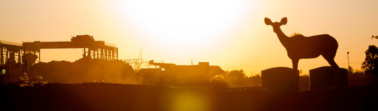 The 25 Most Famous Diamonds Mines of the World | Diamonds Examiner